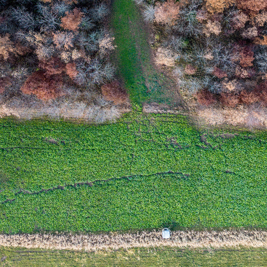 Plot Layout & Access – Monsterbuck