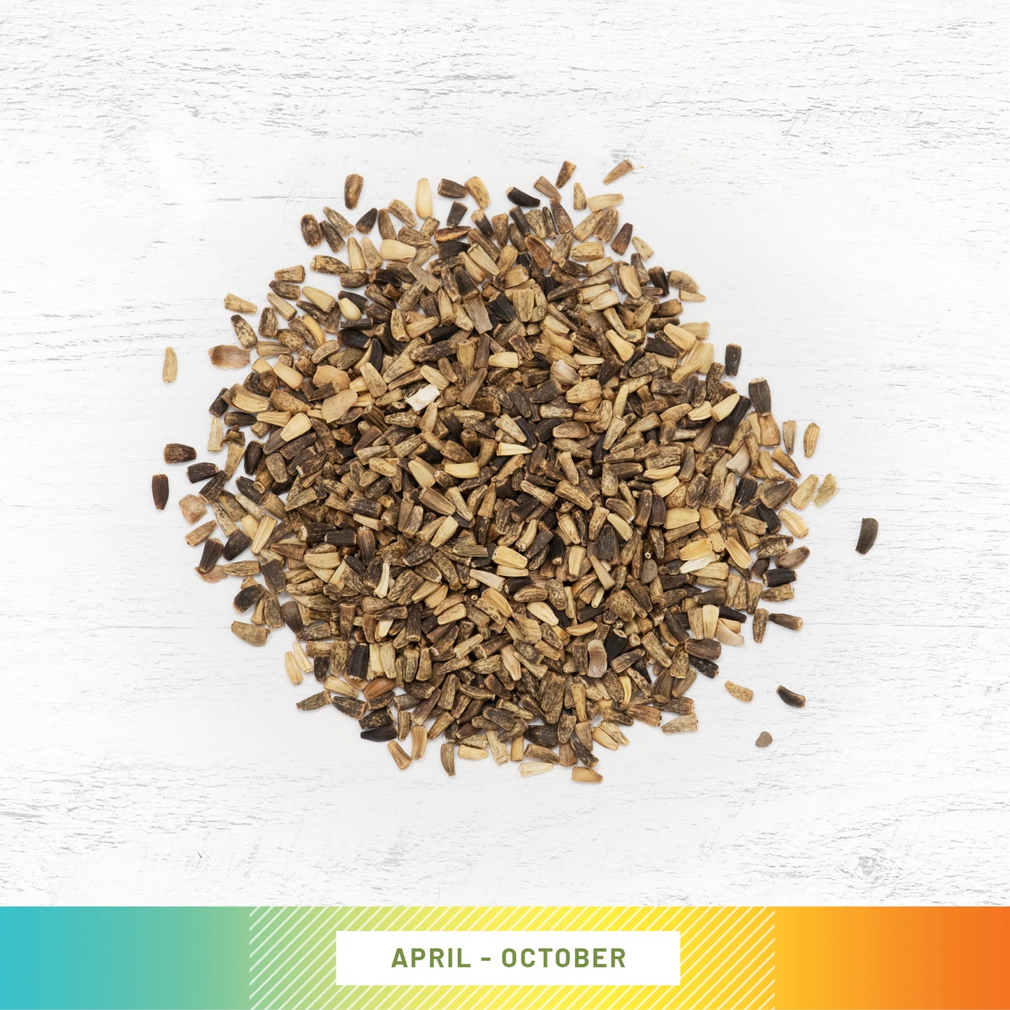 Individual Seeds – Monsterbuck