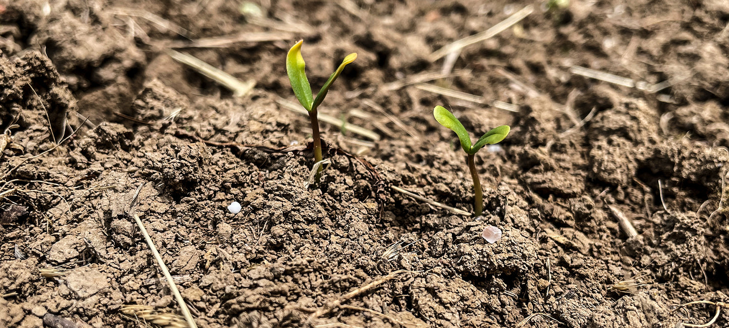 Soil Prep – Monsterbuck