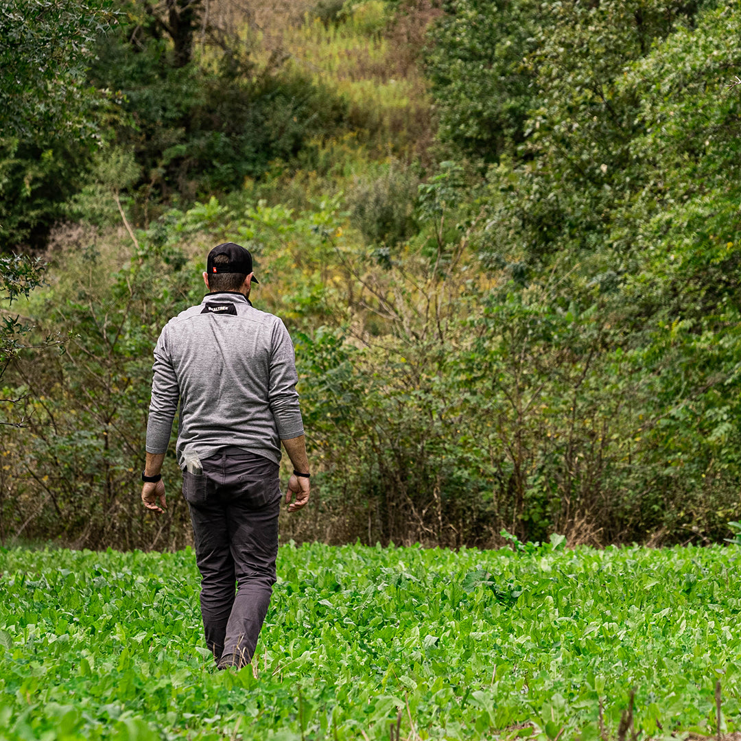 Planting A Clover Plot – Monsterbuck