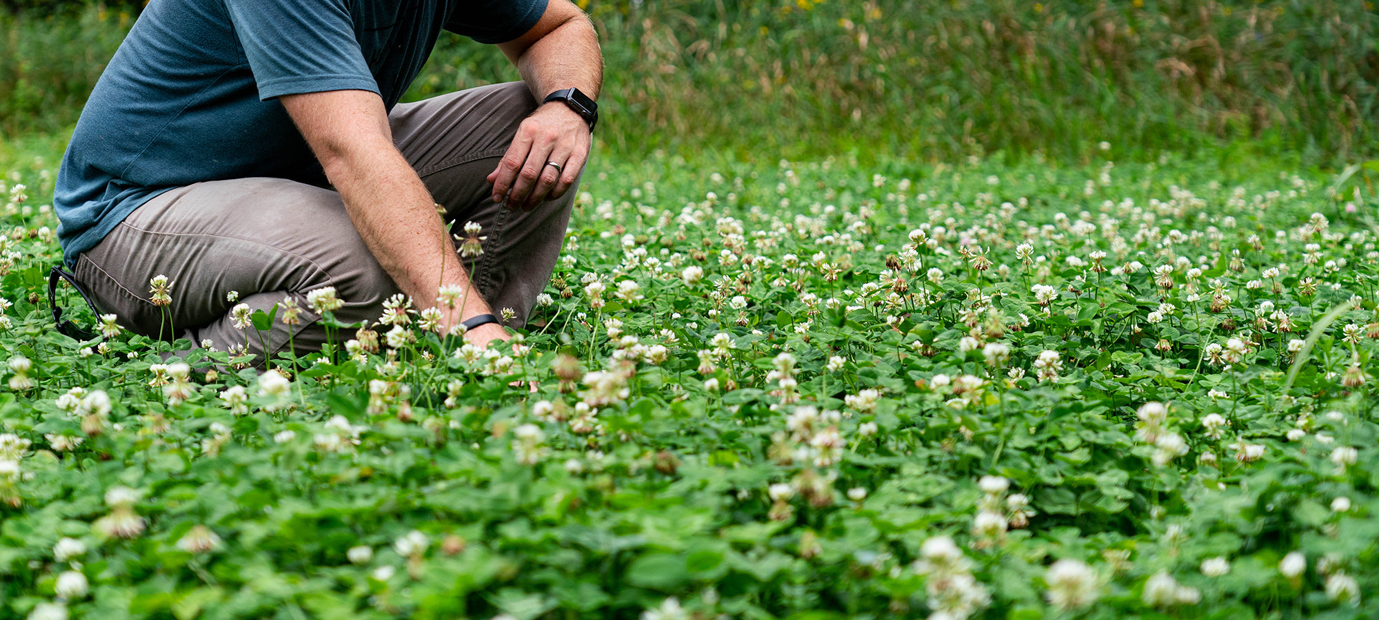 Comprehensive Guide to Food Plotting – Monsterbuck