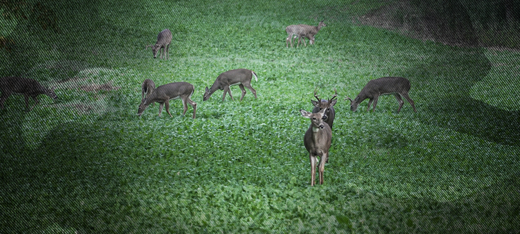 Who We Are – Monsterbuck