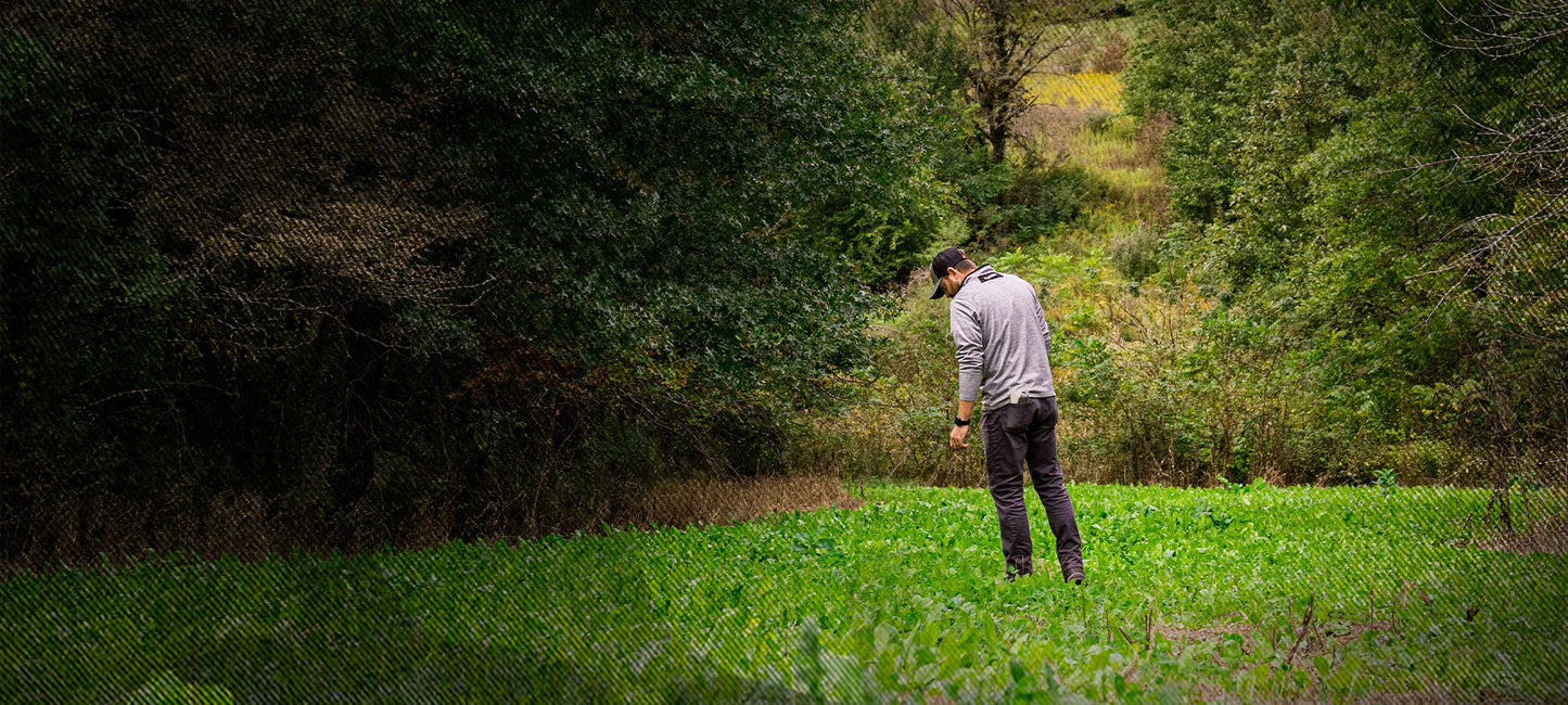 Comprehensive Guide to Food Plotting – Monsterbuck