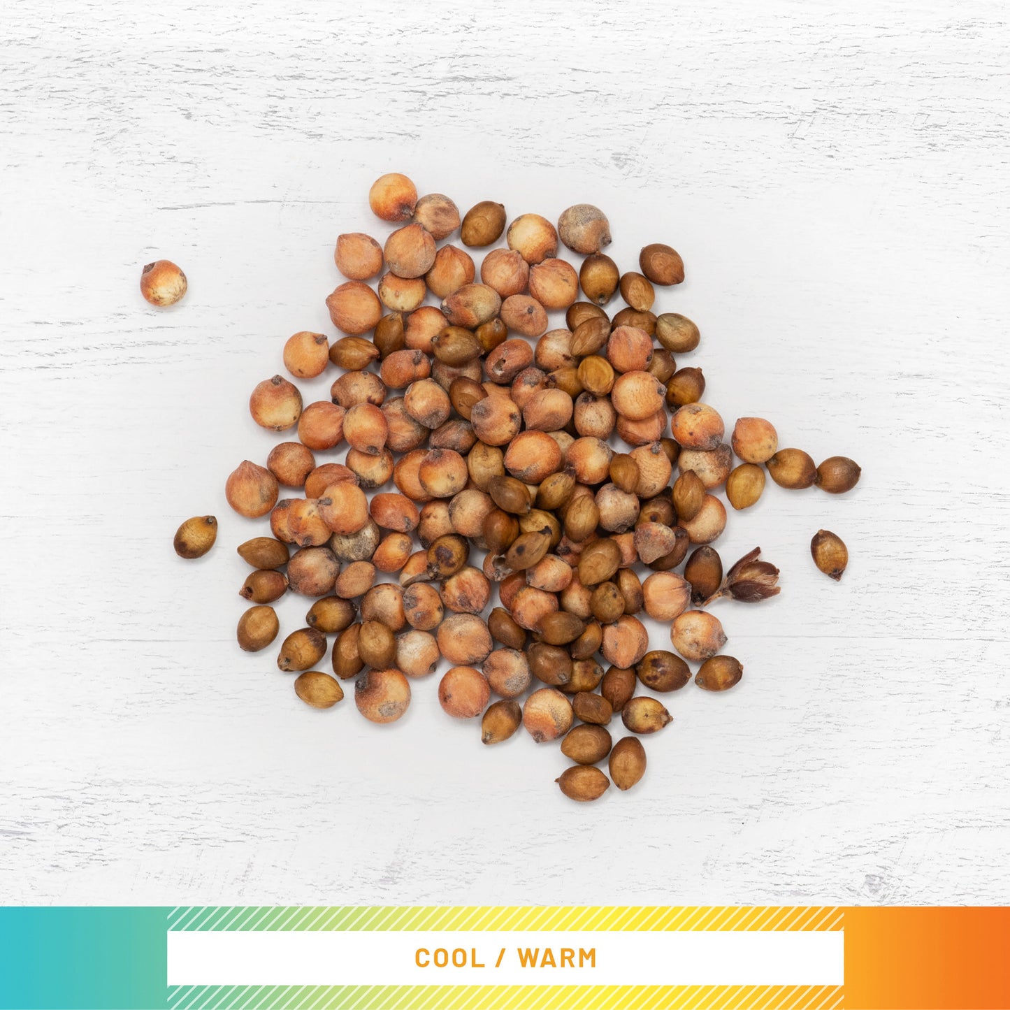 Deer Cover – Monsterbuck