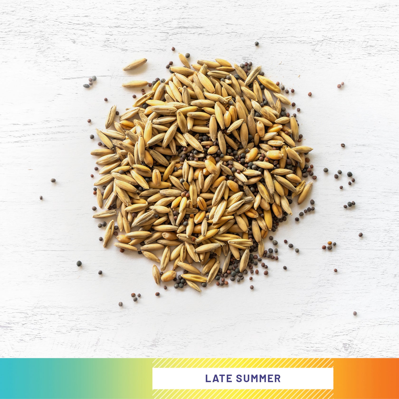 clover, chicory, food plot seed, deer, whitetail, mix – Monsterbuck