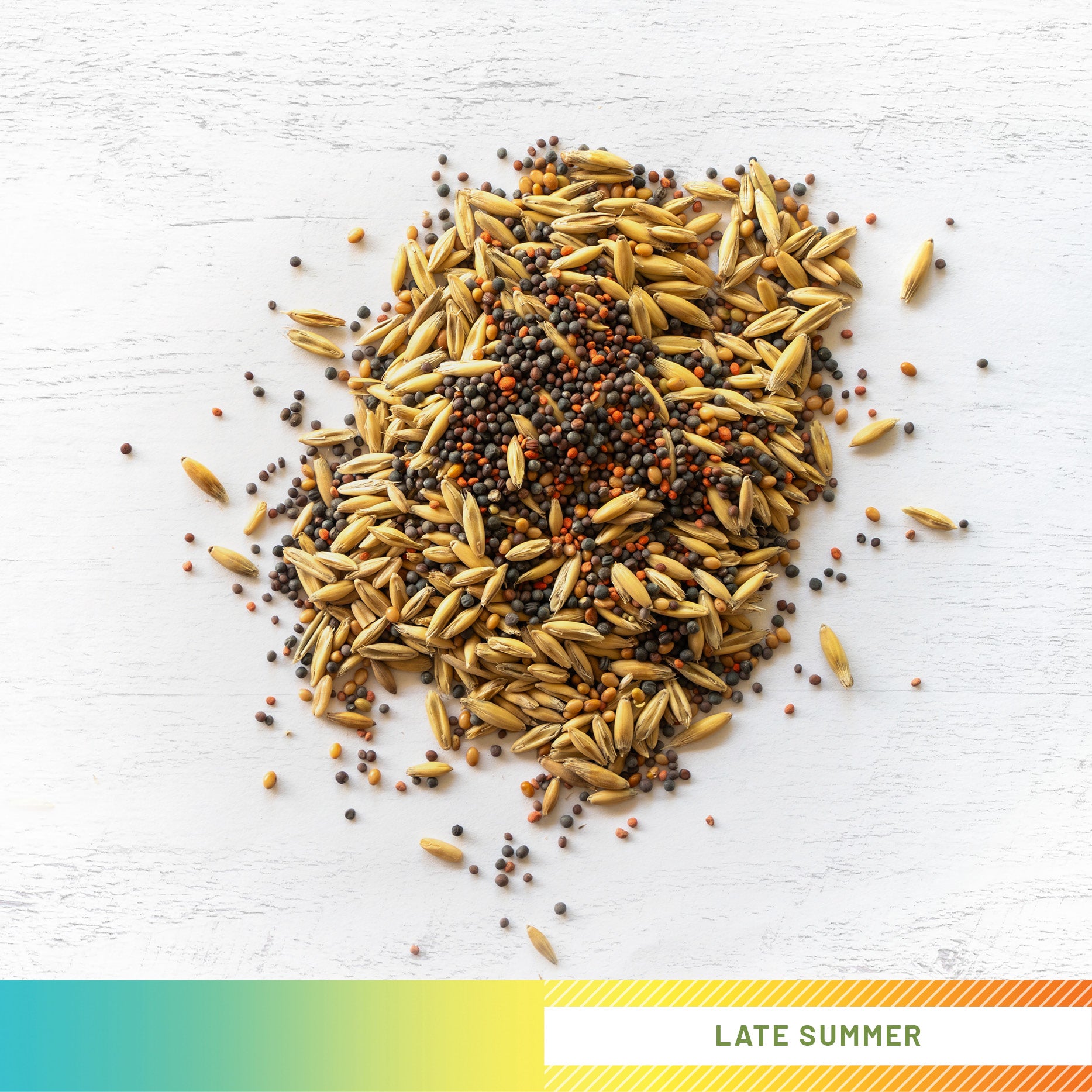 Blends – Monsterbuck