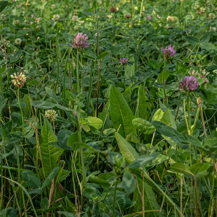 Soil Prep – Monsterbuck