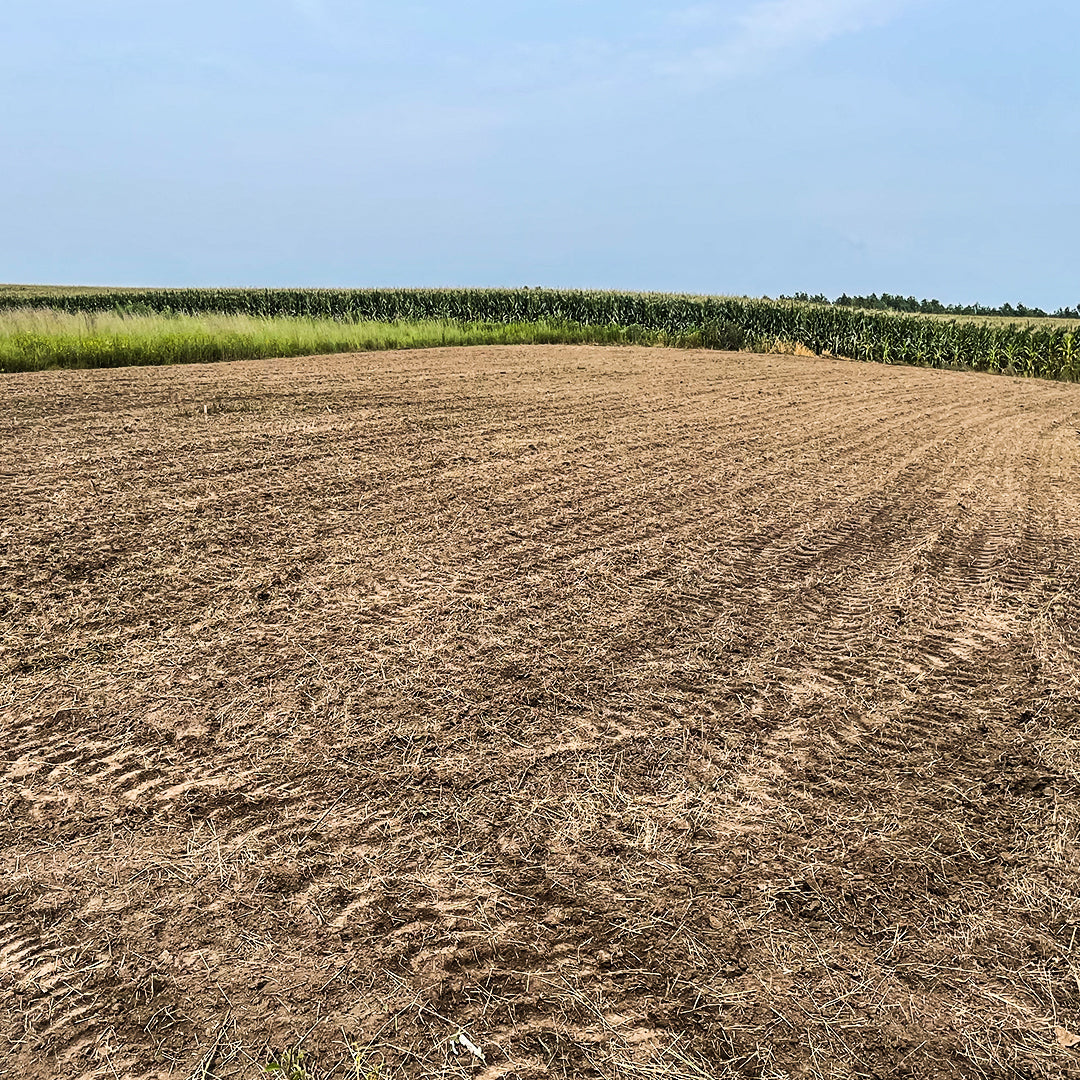 Comprehensive Guide to Food Plotting – Monsterbuck