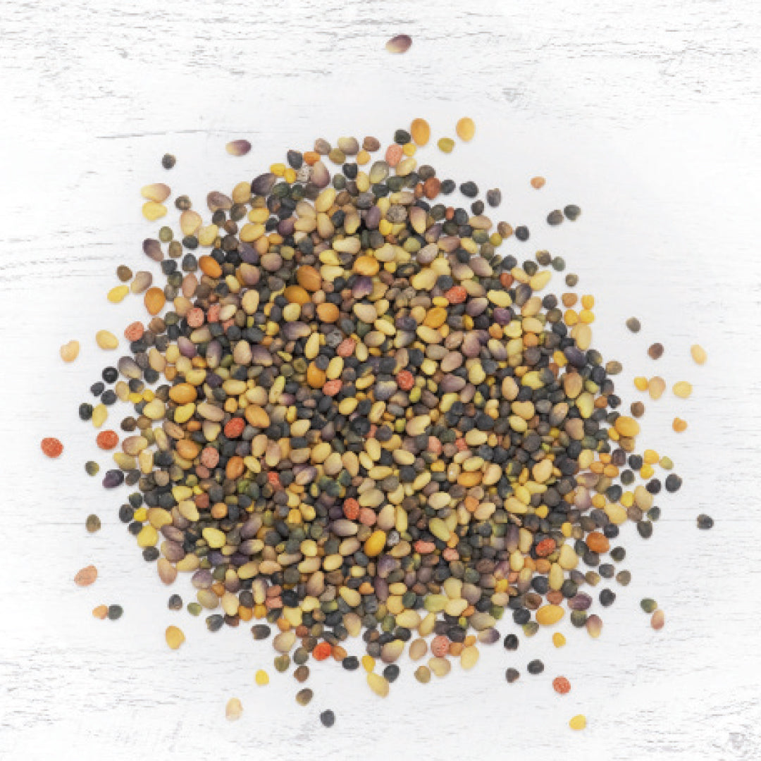 Food Plot Seed – Monsterbuck