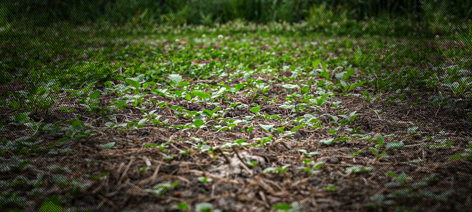 Soil Prep – Monsterbuck